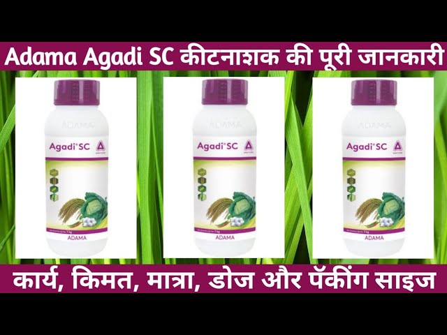 Agadi Insecticide Uses, Price, Technical Name, Dose
