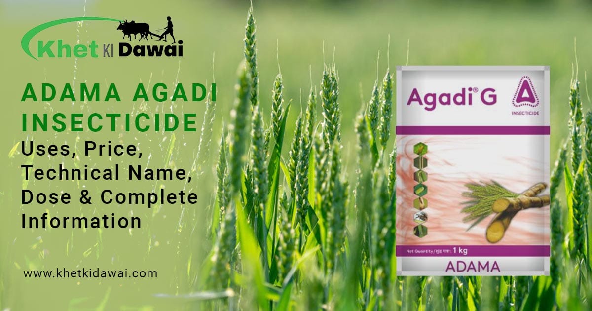 Agadi Insecticide Uses, Price, Technical Name, Dose